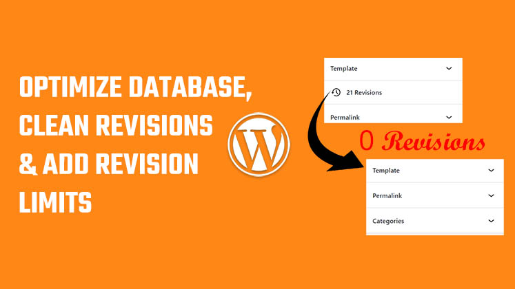 Optimize Database Delete Revisions Add Revision Limits 2022